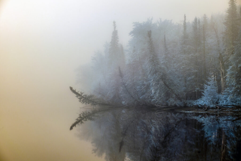 "Alternative Process Photography" Exhibit Opens at Galletly Gallery